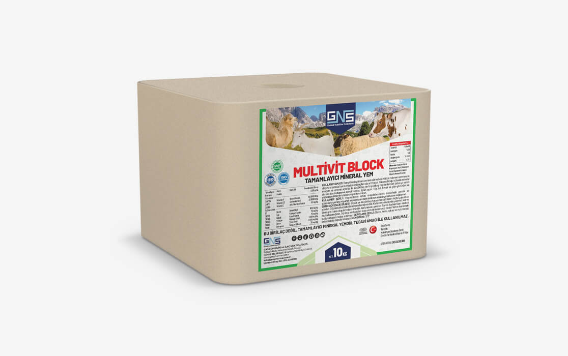 Licking stones | GNS